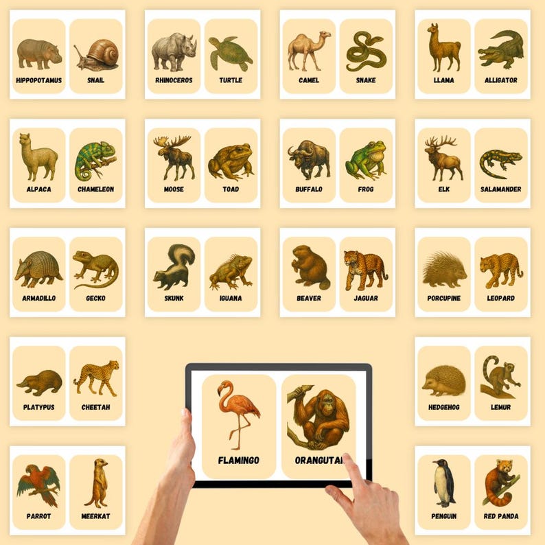 108 Type of Animals Flash Cards Identification Montessori Education ...