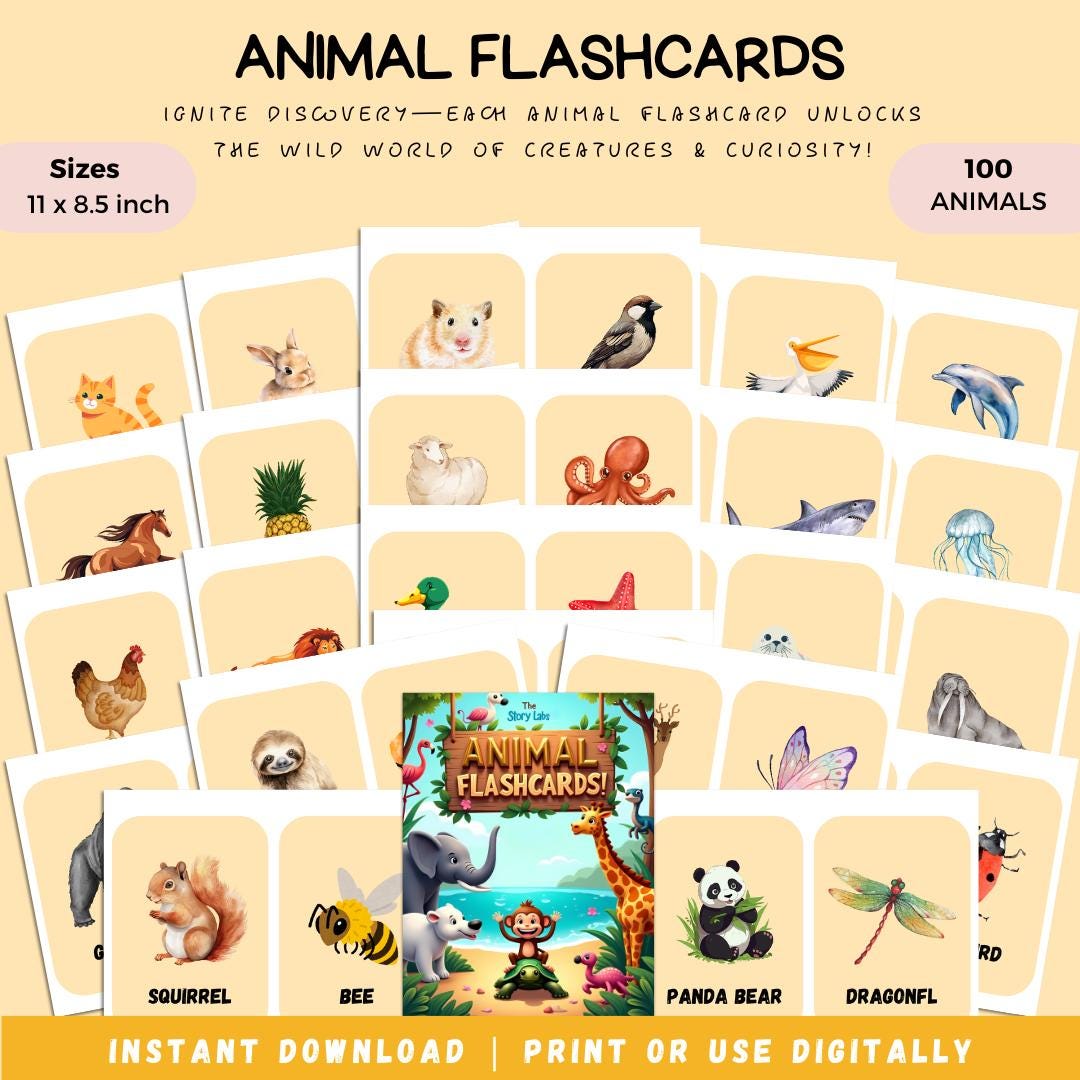 100 Type of Animals Flash Cards Identification Montessori Education ...