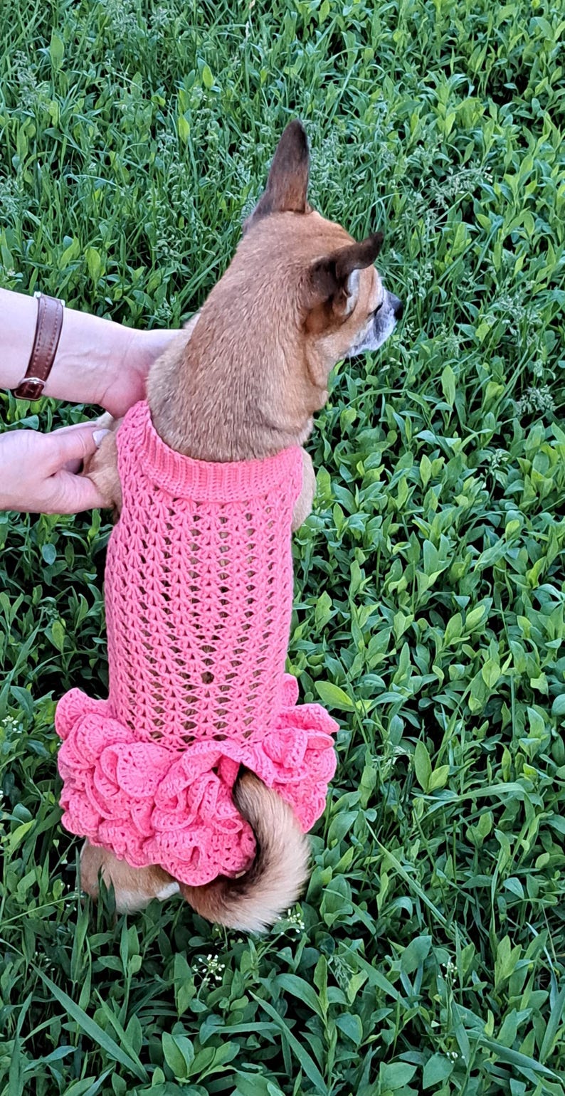Crochet Dog Dress Pattern – PDF Tutorial for Small Dogs – Easy Pet ...