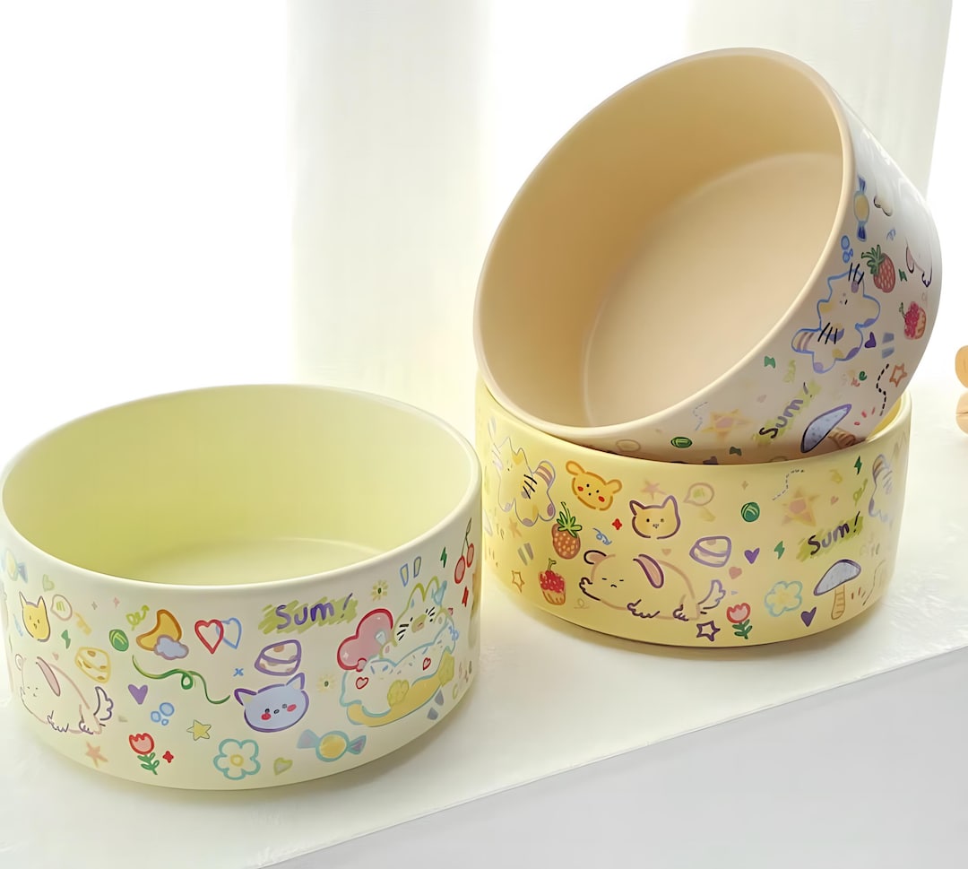 Graffiti Ceramic Pet Bowl: Durable Stoneware Cat & Dog Dish - Etsy