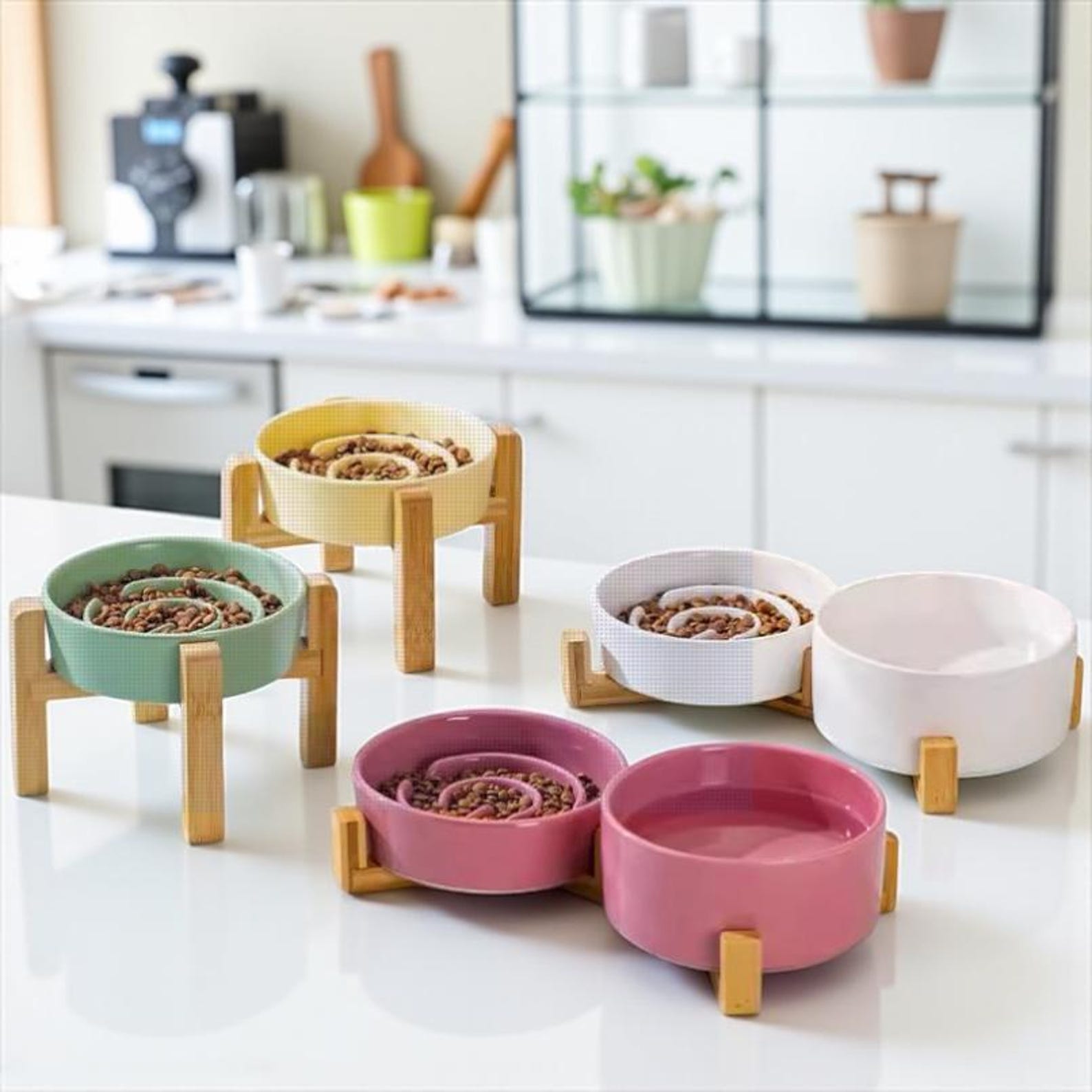 Ceramic Pet Slow-feeder Bowl — Anti-choking, Anti-gulp Design for Dogs ...