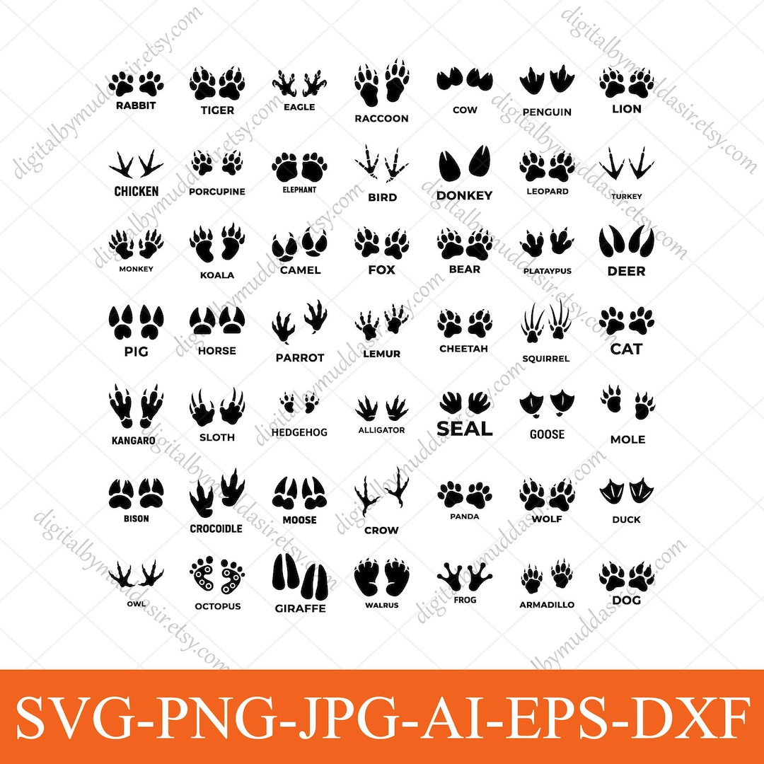 Animal Foot Print Clipart, Footprint Svg, Animals Foot Svg, Forest ...