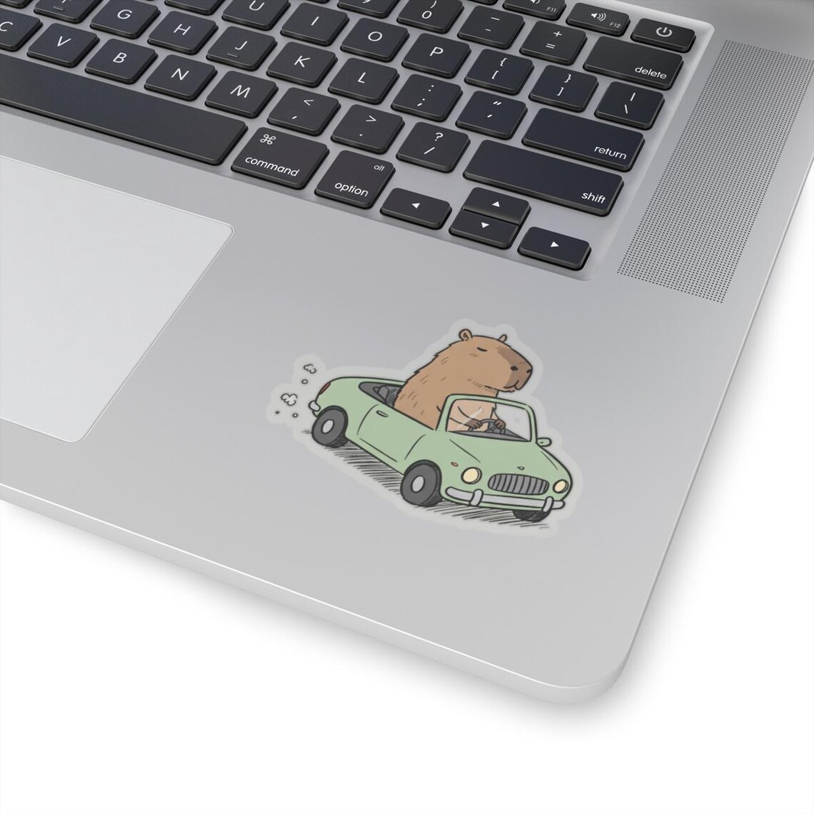 Capybara Sticker, Cute Capybara, Cute Animal Decal for Hydroflask ...