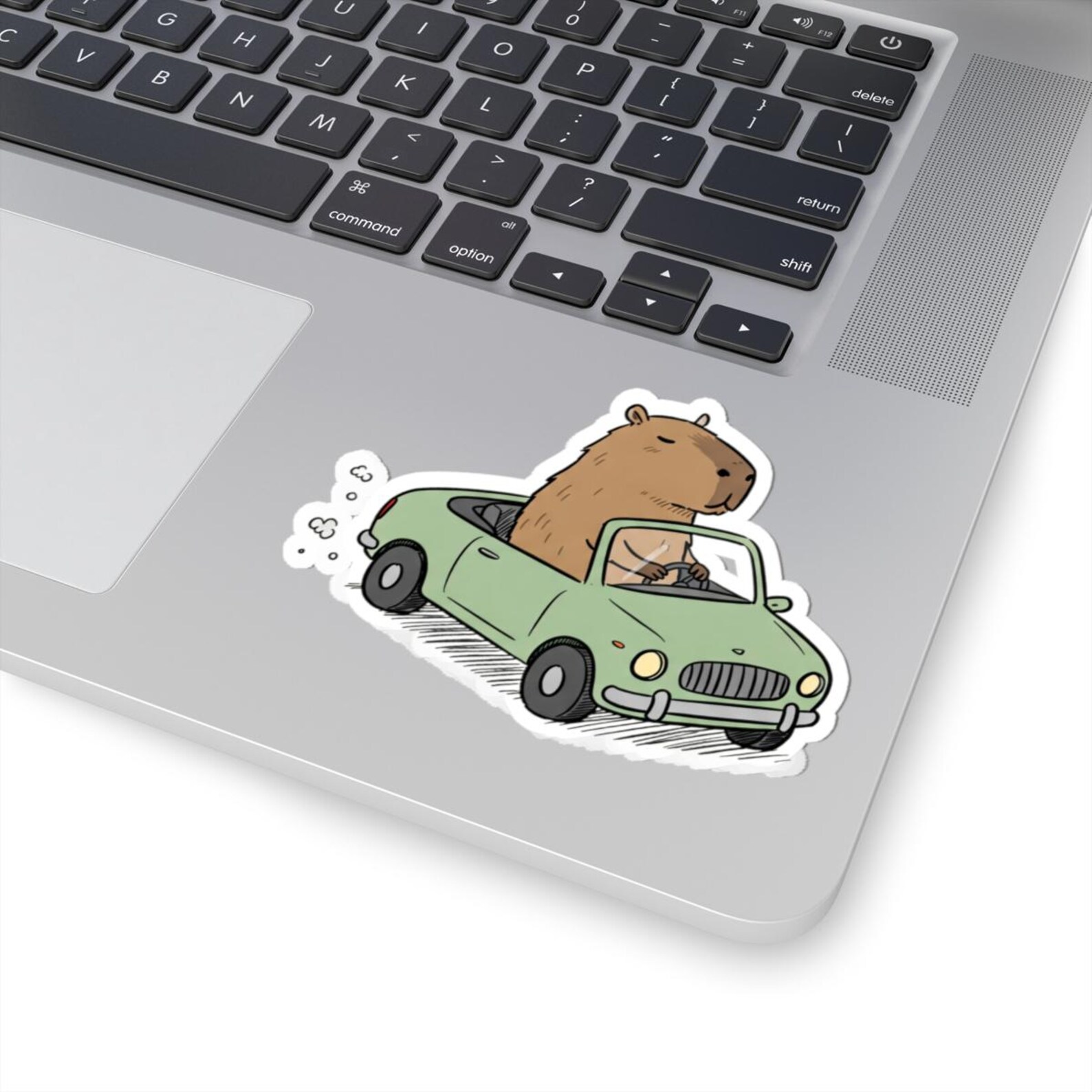 Capybara Sticker, Cute Capybara, Cute Animal Decal for Hydroflask ...