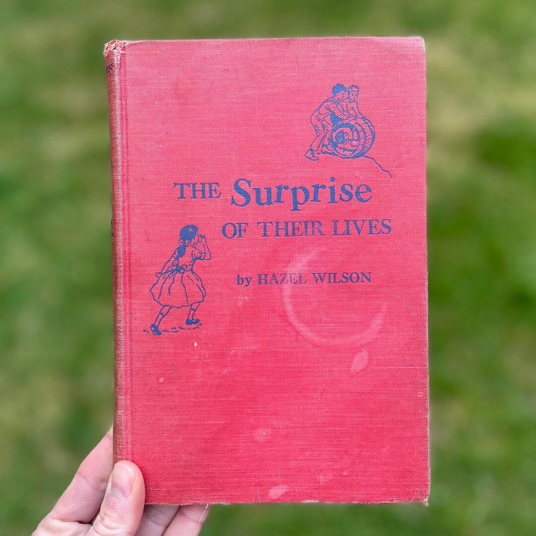 Vintage 1957 “the Surprise of Their Lives” Hardcover Children’s Book by ...
