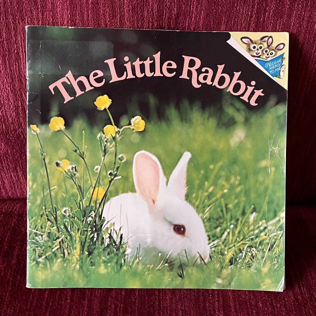 Vintage 1980 “the Little Rabbit” by Judy Dunn - Please Read to Me Book ...