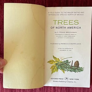 Vintage 1968 Golden A Guide to Field Identification: Trees of North ...