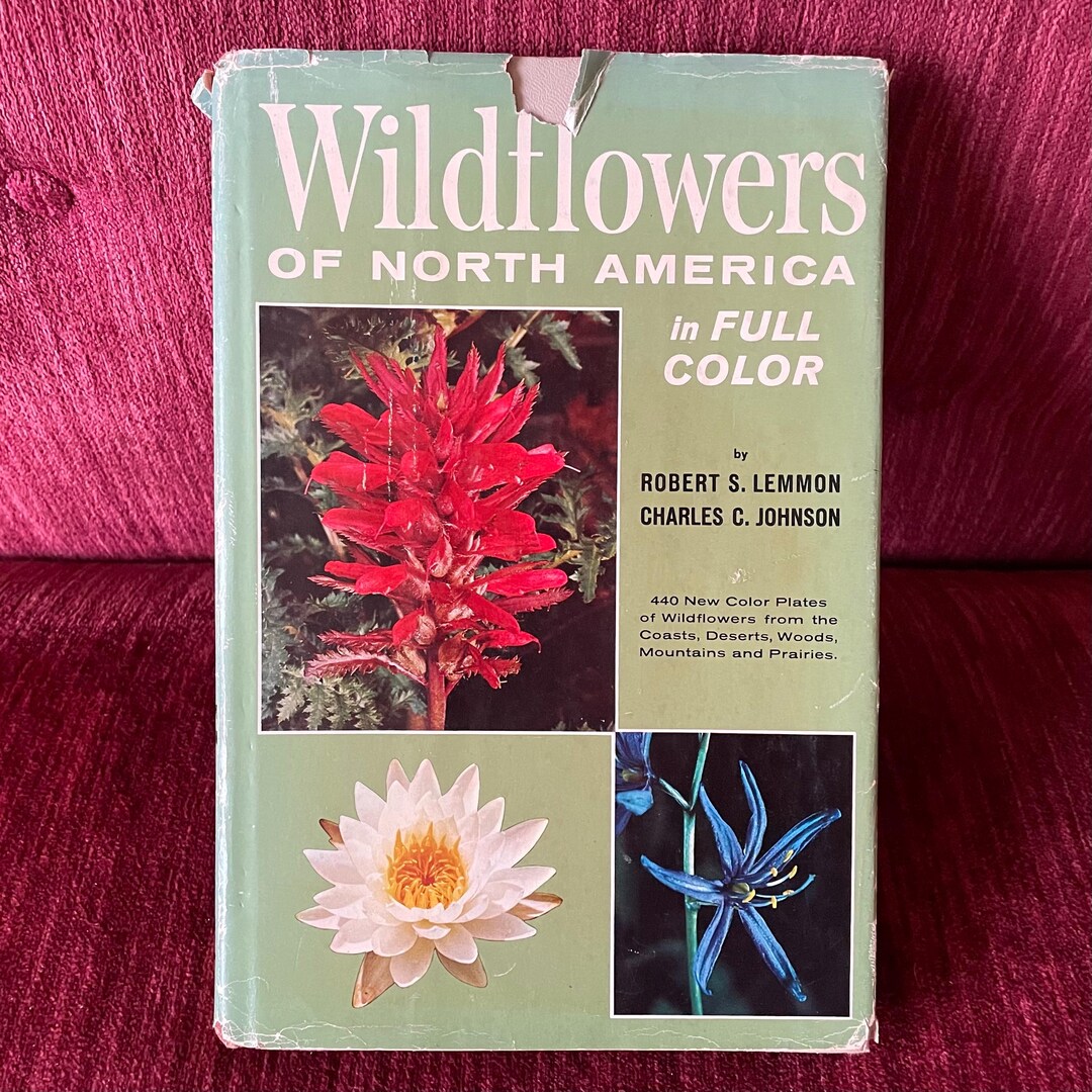 Vintage 1961 “wildflowers of North America in Full Color” Hardcover ...