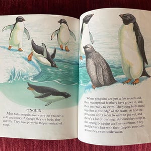 Vintage 1990 “water Babies” - A Little Golden Book - 90s Kids Book ...