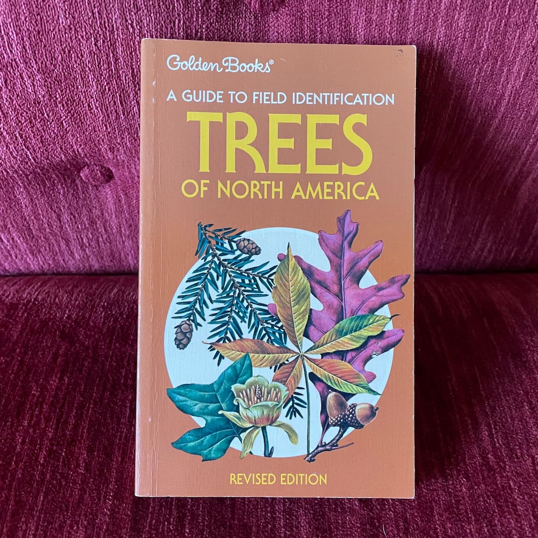 Vintage 1986 Golden Press trees of North America A Golden Nature Guide ...
