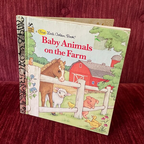 Chicken Little Book - Etsy