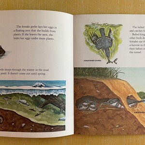 Vintage 1978 who Lives Here by Dot and Sy Barlowe Please Read to Me ...