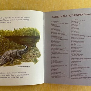 Vintage 1978 who Lives Here by Dot and Sy Barlowe Please Read to Me ...