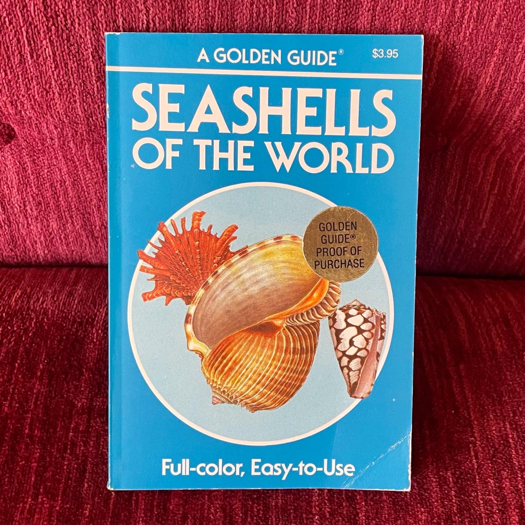 Vintage 1985 Golden Guide seashells of the World A Golden Nature Guide ...