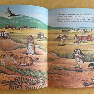 Vintage 1978 who Lives Here by Dot and Sy Barlowe Please Read to Me ...