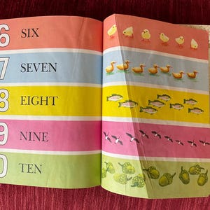 Vintage 1992 “my First Counting Book” Little Golden Book - Animals Book ...