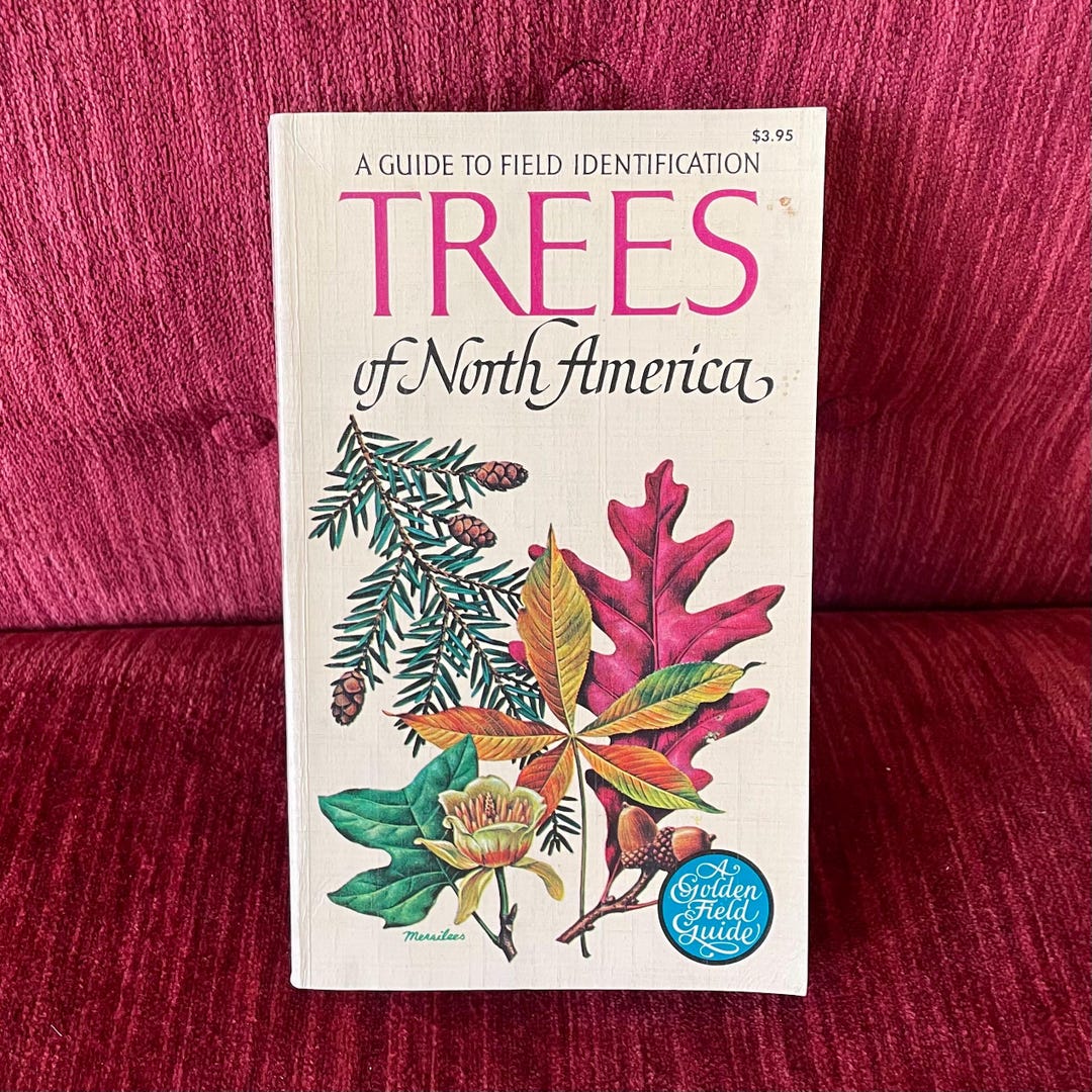 Vintage 1968 Golden A Guide to Field Identification: Trees of North ...