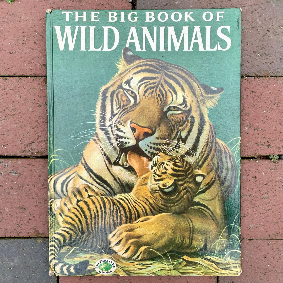 Vintage 1954 “the Big Book of Wild Animals” - Big Treasure Books - Full ...
