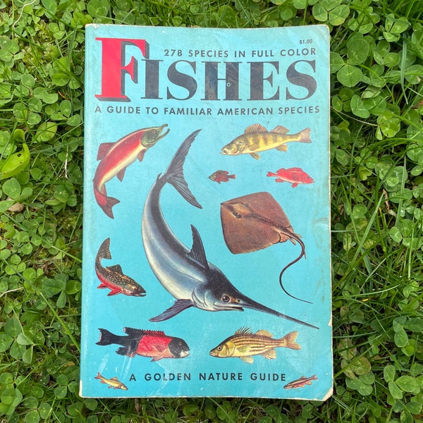 Golden Press Books - Etsy