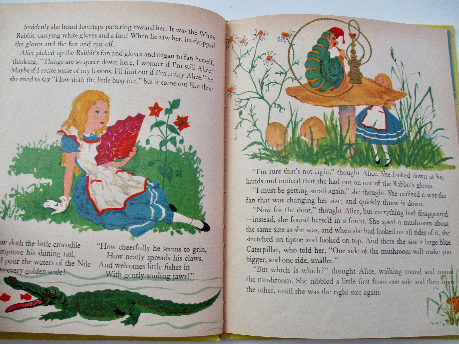 50s Book-alice in Wonderland, Through the Looking Glass, Wonder Book ...