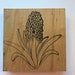 Vintage Rubber Stamp Large Hyacinth Flower Stamp Comotion Rubber Stamps ...