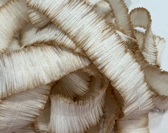 Ruffled Crepe Paper - White With Black Tint - YOUR CHOICE Length ...