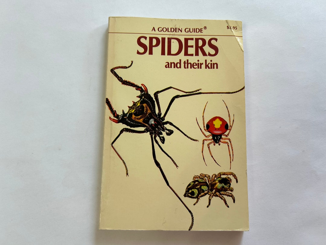 Vintage Golden Guide SPIDERS and Their Kin Book 1968 Pocket Guide ...