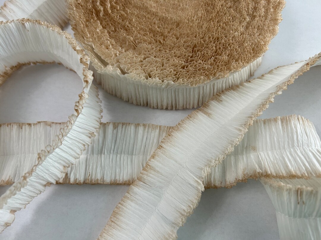 Ruffled Crepe Paper White With Walnut Ink Tint YOUR CHOICE Length ...