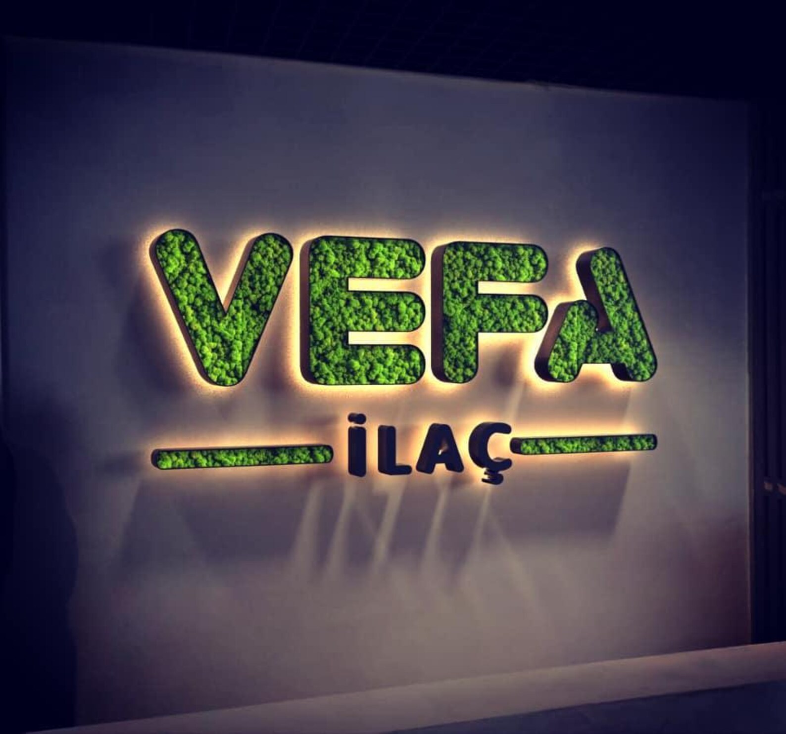 Custom Moss Wall Sign, Moss Wall Art, Logo Moss Sign, Business Moss ...