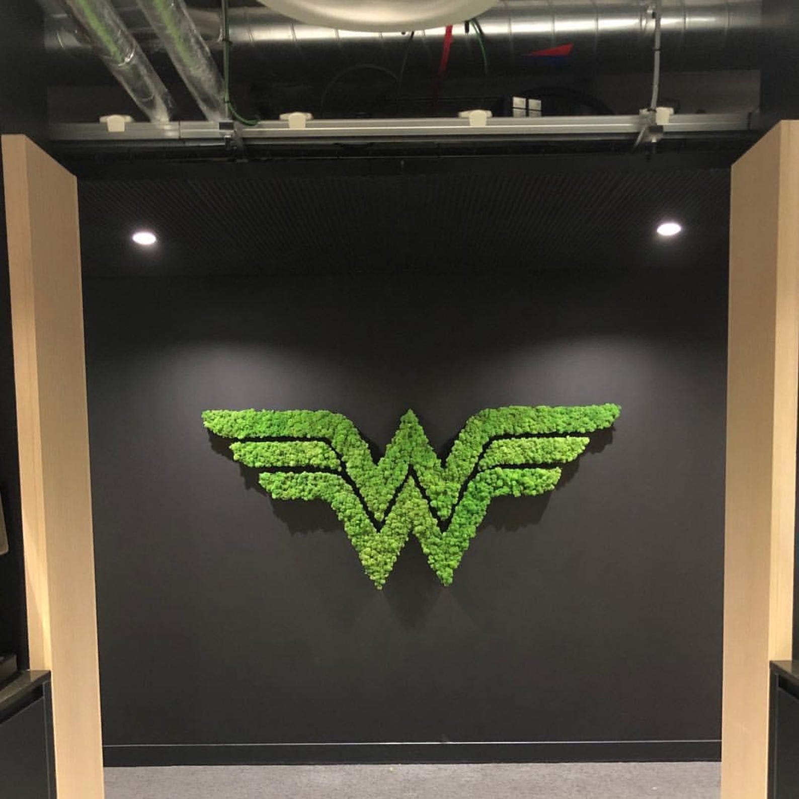 Custom Moss Wall Sign, Moss Wall Art, Logo Moss Sign, Business Moss ...