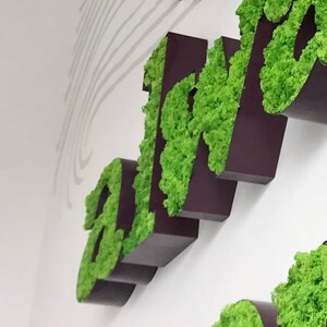 Custom Moss Wall Sign, Moss Wall Art, Logo Moss Sign, Business Moss ...