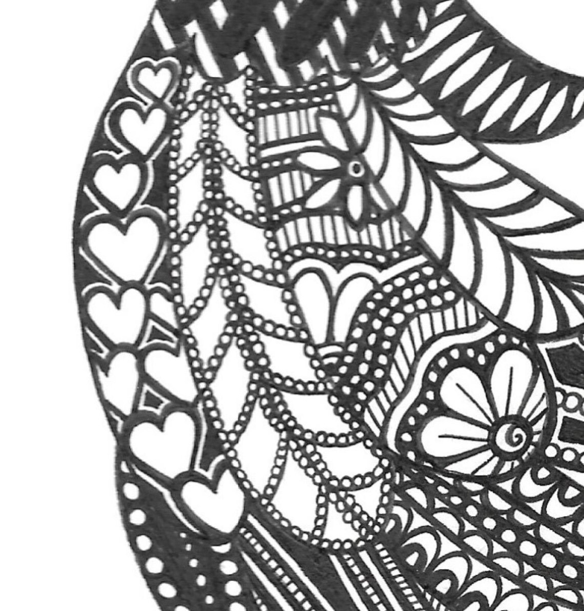 Beautiful Bird Coloring Page - Etsy