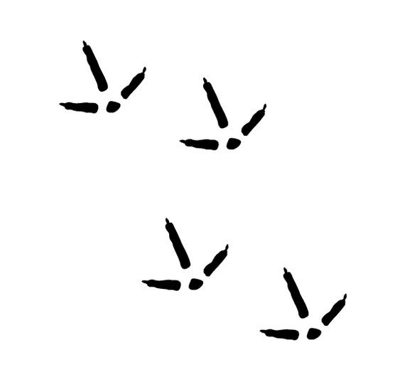 Turkey Tracks Set of 12 Life Sized - Etsy