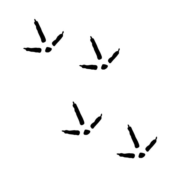 Turkey Tracks - Etsy