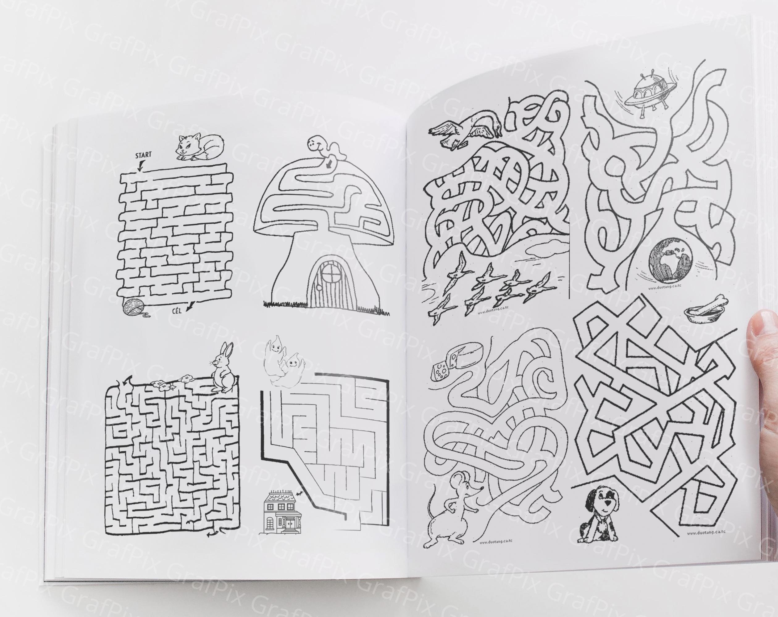 Maze Puzzle Collection for Kids: 236 Visual Perceptual Activities (PDF ...