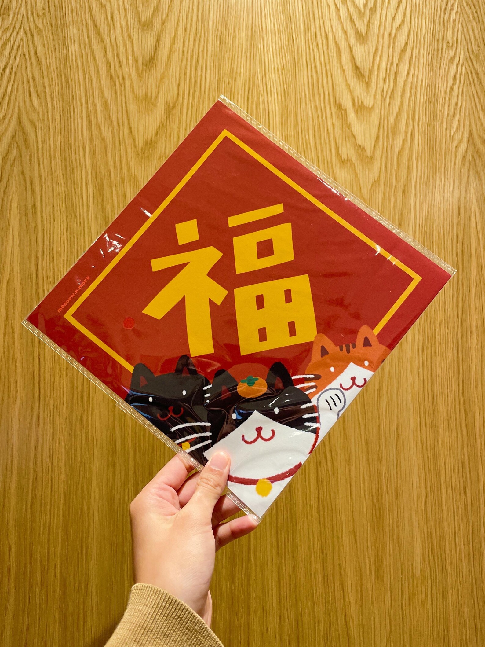 2026 Lunar New Year Decor Funny Cats Fu Fai Chun Square Chinese New ...
