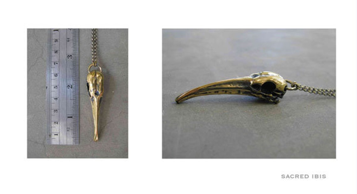 SACRED IBIS SKULL - Solid Brass Skull Pendant Necklace - Bird Skull ...