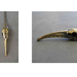 SACRED IBIS SKULL - Solid Brass Skull Pendant Necklace - Bird Skull ...
