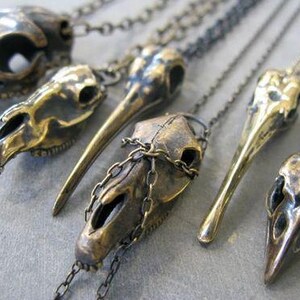 SACRED IBIS SKULL - Solid Brass Skull Pendant Necklace - Bird Skull ...