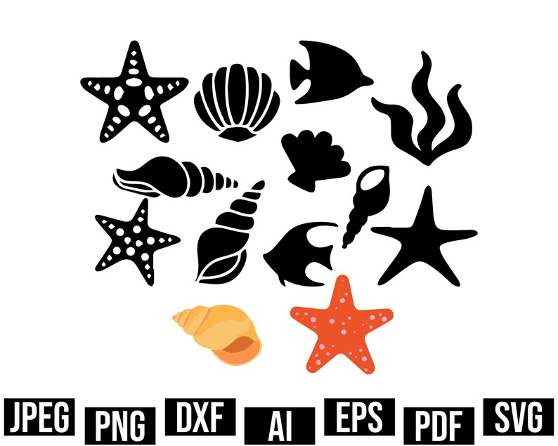 Seashell Svg Bundle, Seashell Png Bundle, Cut Files for Cricut ...
