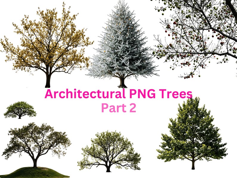 Part 2 - 400 Architectural Trees PNG JPG - Tree Silhouettes PNG ...