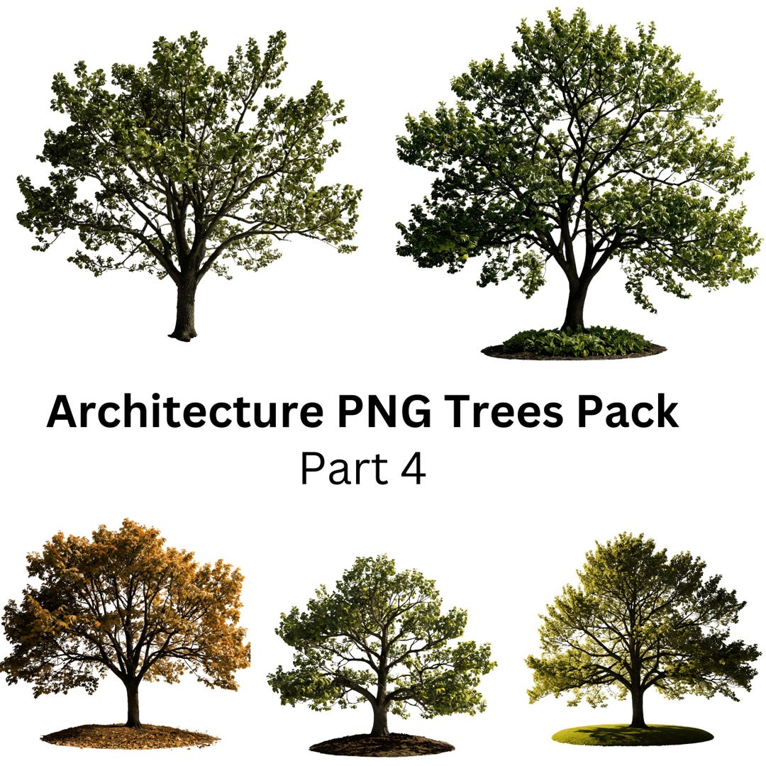 Part 4 - 400 Architectural Trees PNG JPG - Seasonal Tree Pack for ...