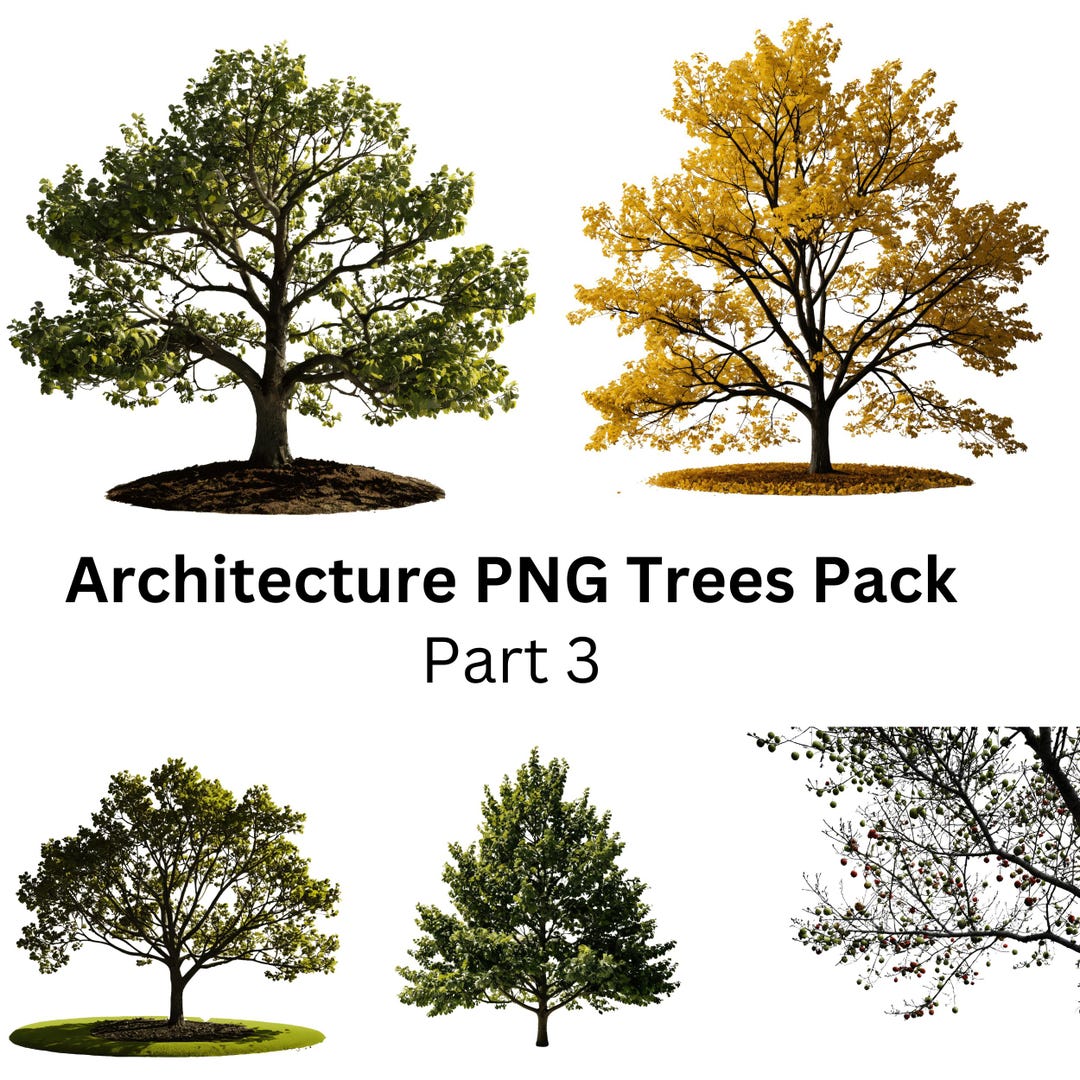 400 Architectural Trees Part 3 PNG JPG – Cad‑ready Trees for Revit ...
