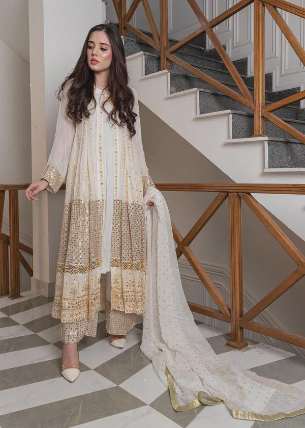 Chikankari Embellished Gown Dress | Pakistani Dress | Pakistani Wedding ...