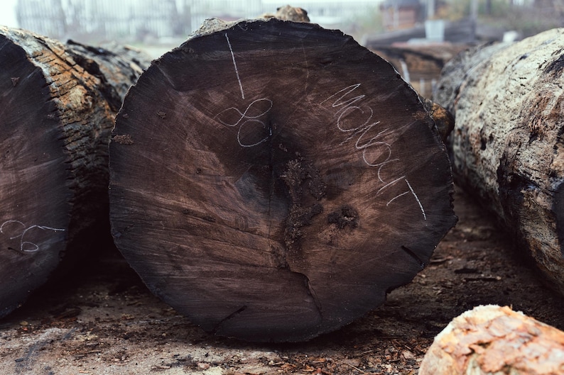 Live Edge Slabs Black Oak Bog Oak Abanos - Etsy