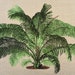 New Embroidered Palm Tree Pillow New 12 X 16 Insert — Item 189 - Etsy