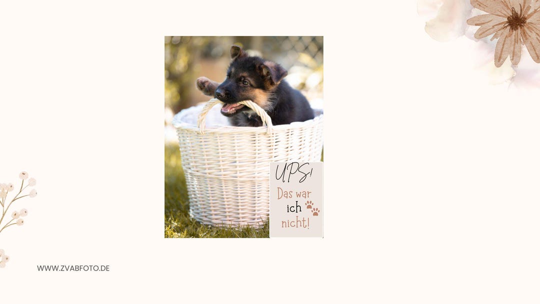 Puppy Milestone Cards – Puppy - Digital Download for Unforgettable ...