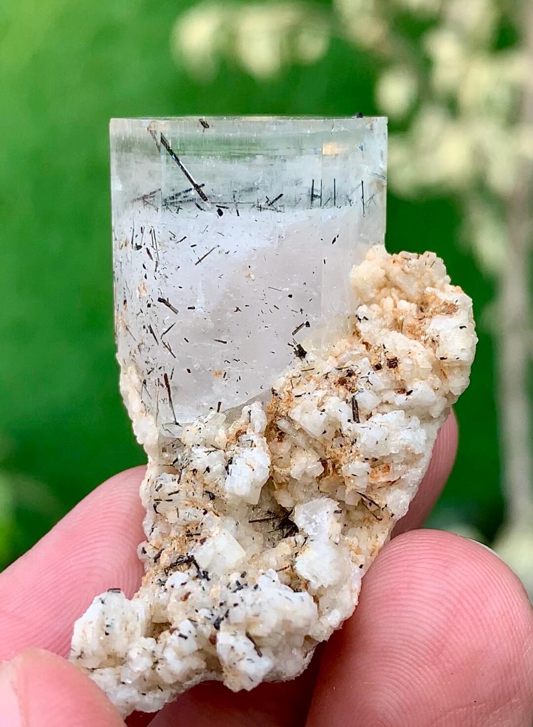 Bicolor Aqua Var Morganite Crystal With Tourmaline Inclusions on ...