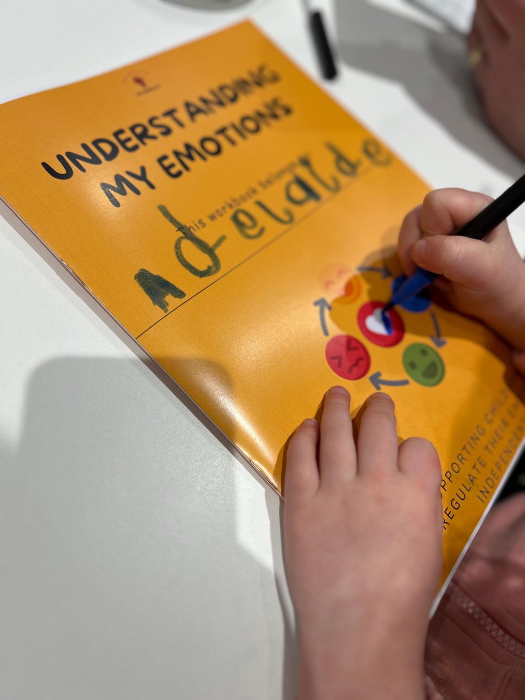 Understanding My Emotions Workbook - Etsy