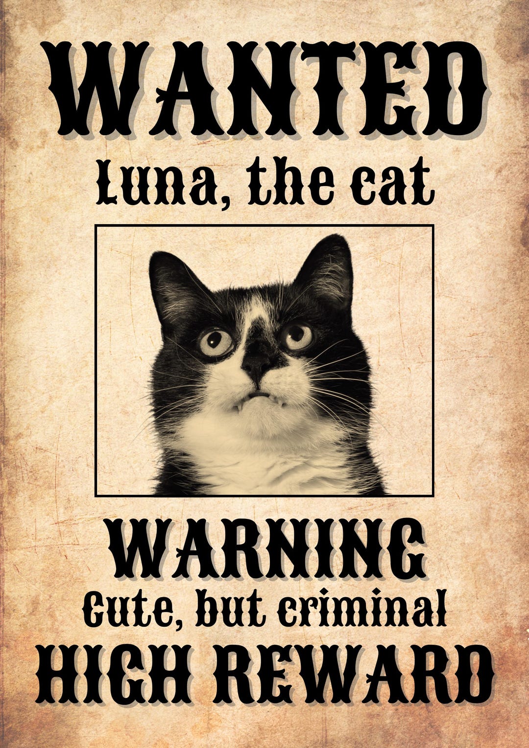Personalized WANTED Animal Posters - Funny Pet Wanted Poster - Digital ...